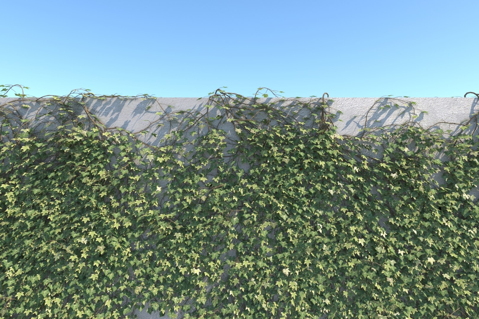 Ivy - wall b 3D model - TurboSquid 1407321