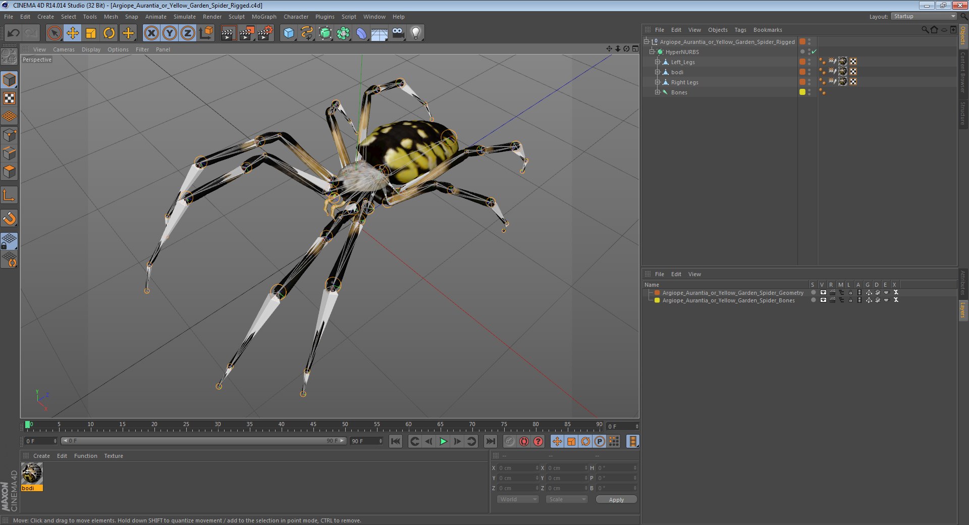 Spiders rigged 3D model - TurboSquid 1516536