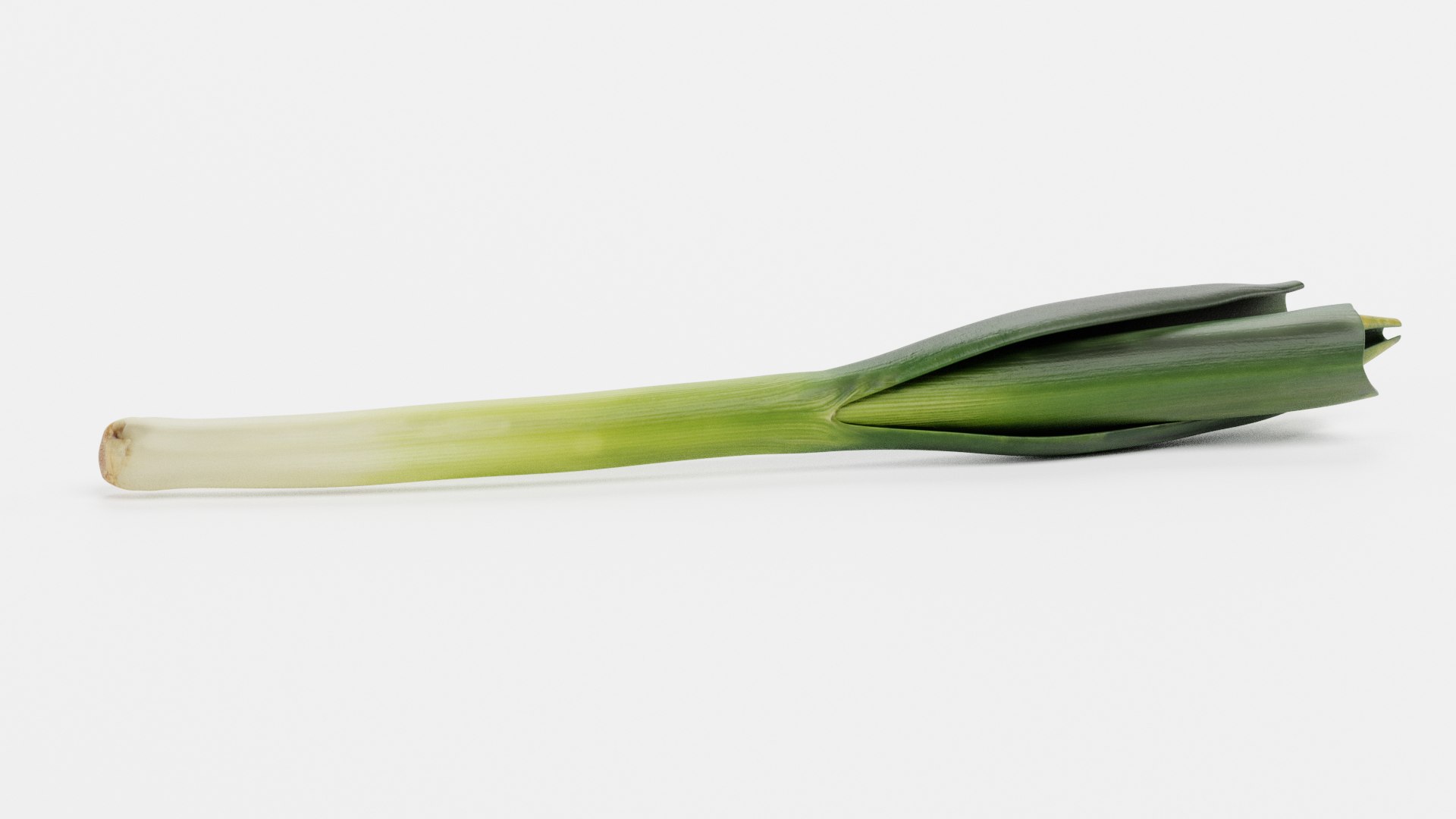 3D Leek Vegetable - TurboSquid 1542923