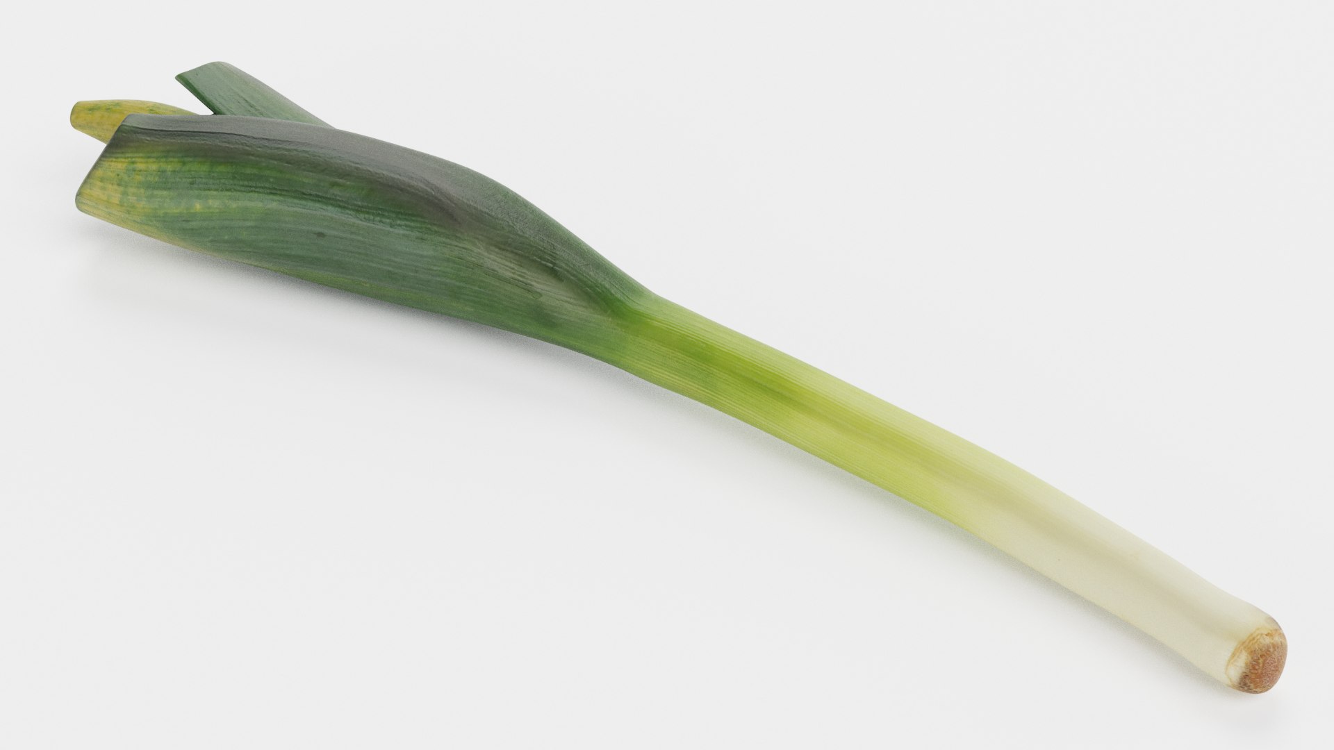 3D Leek Vegetable - TurboSquid 1542923