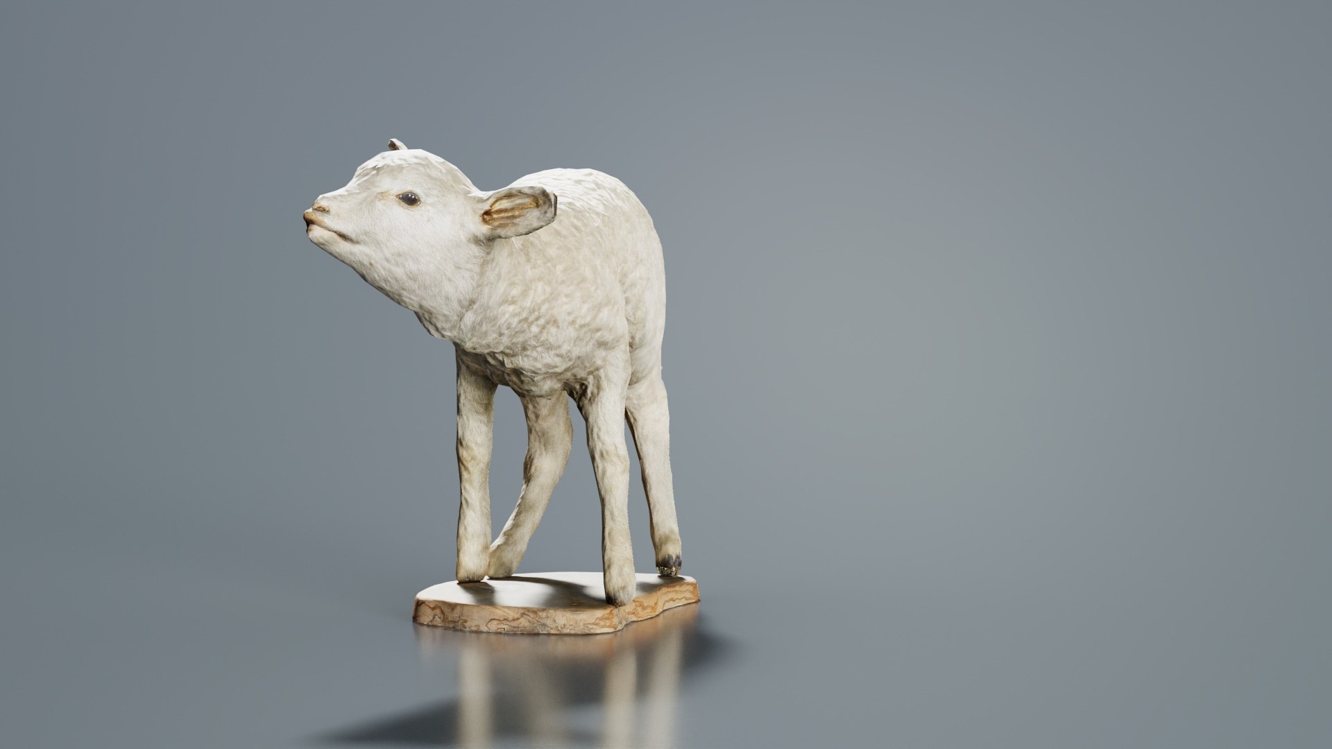 Lamb Mutton Remastered Model - TurboSquid 2359814