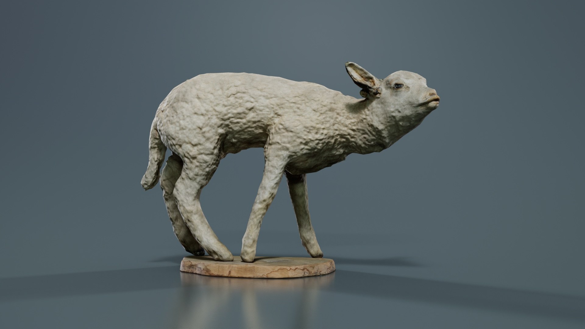 Lamb Mutton Remastered Model - TurboSquid 2359814