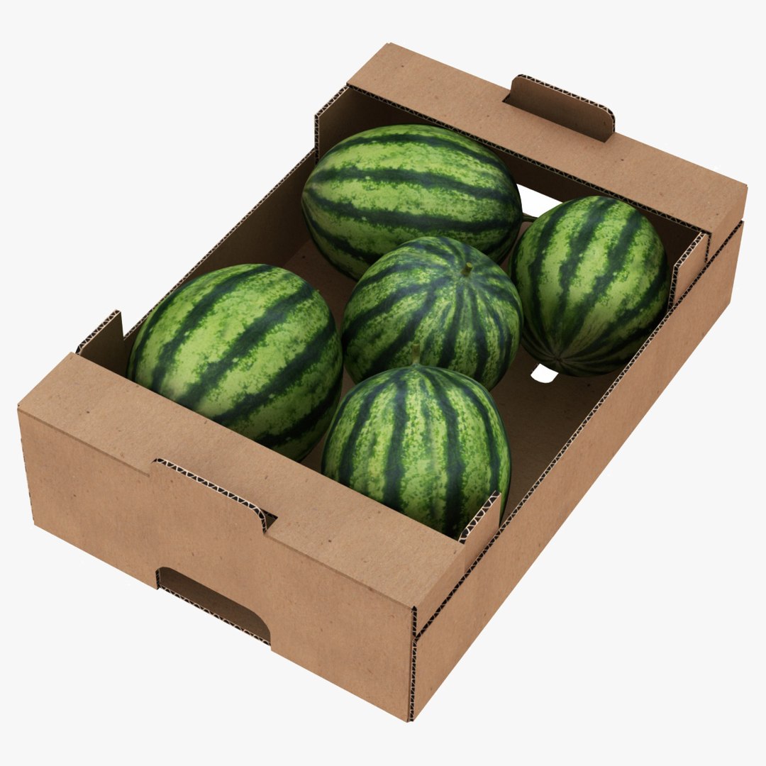 3D fruit cardboard box watermelons model - TurboSquid 1542586