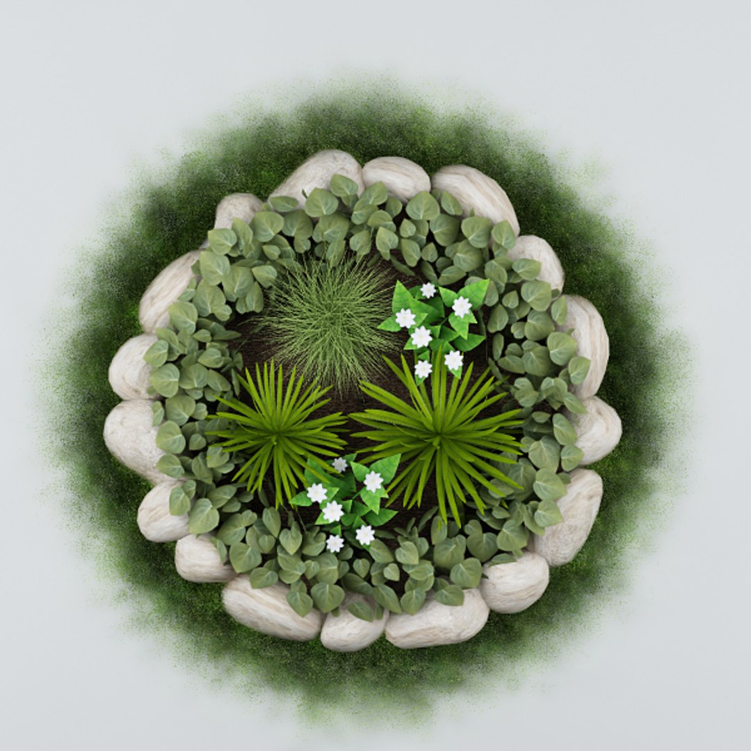 3ds Max Garden Plant