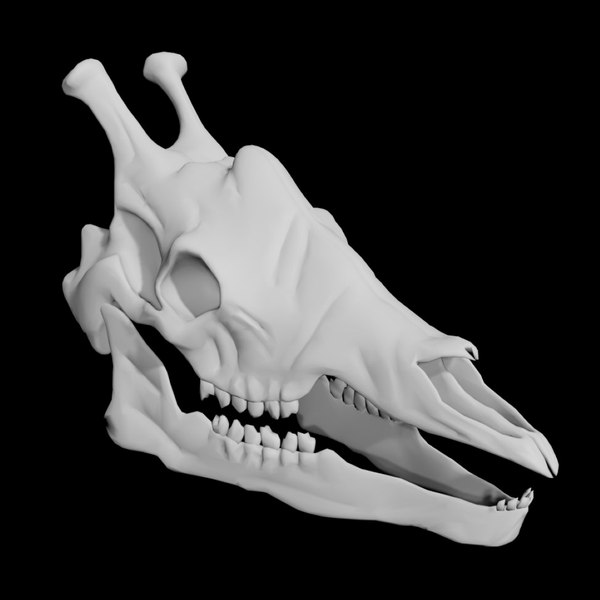 Bear skull 3D model - TurboSquid 1776504