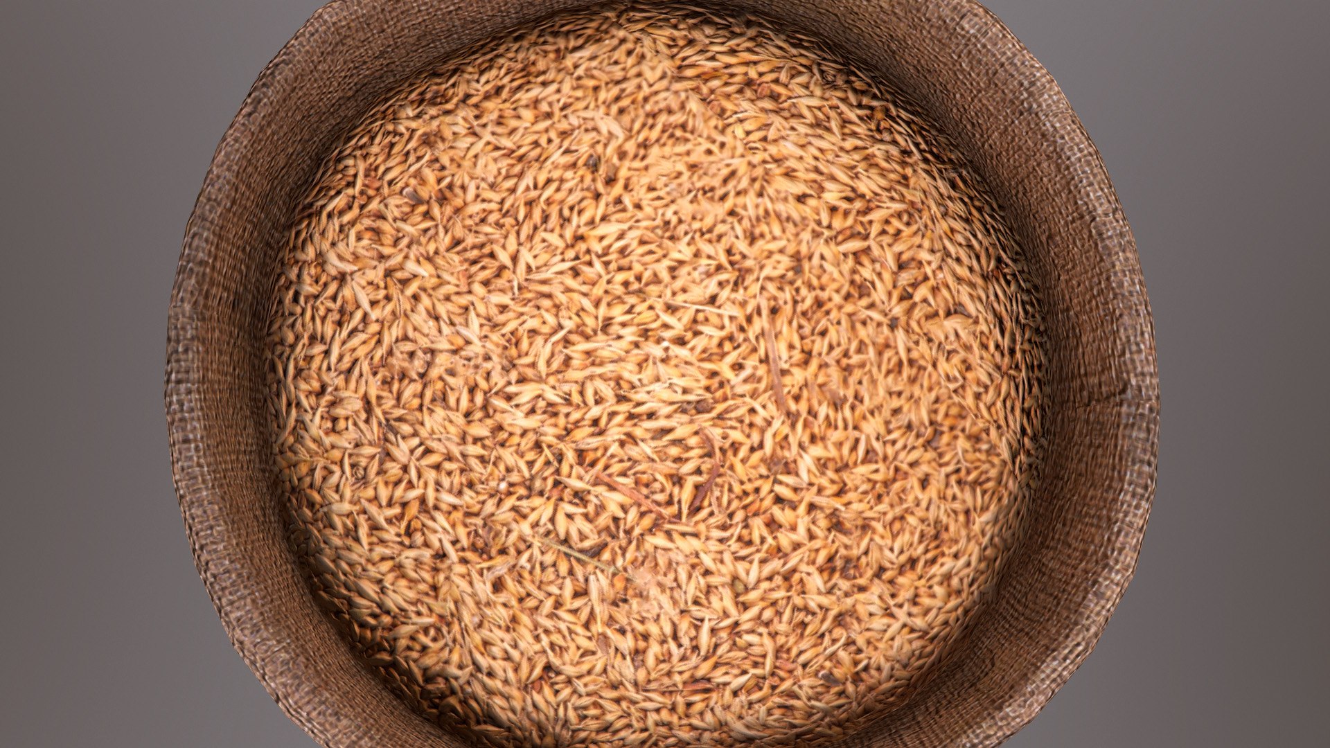 Sack Wheat 3D - TurboSquid 1510106
