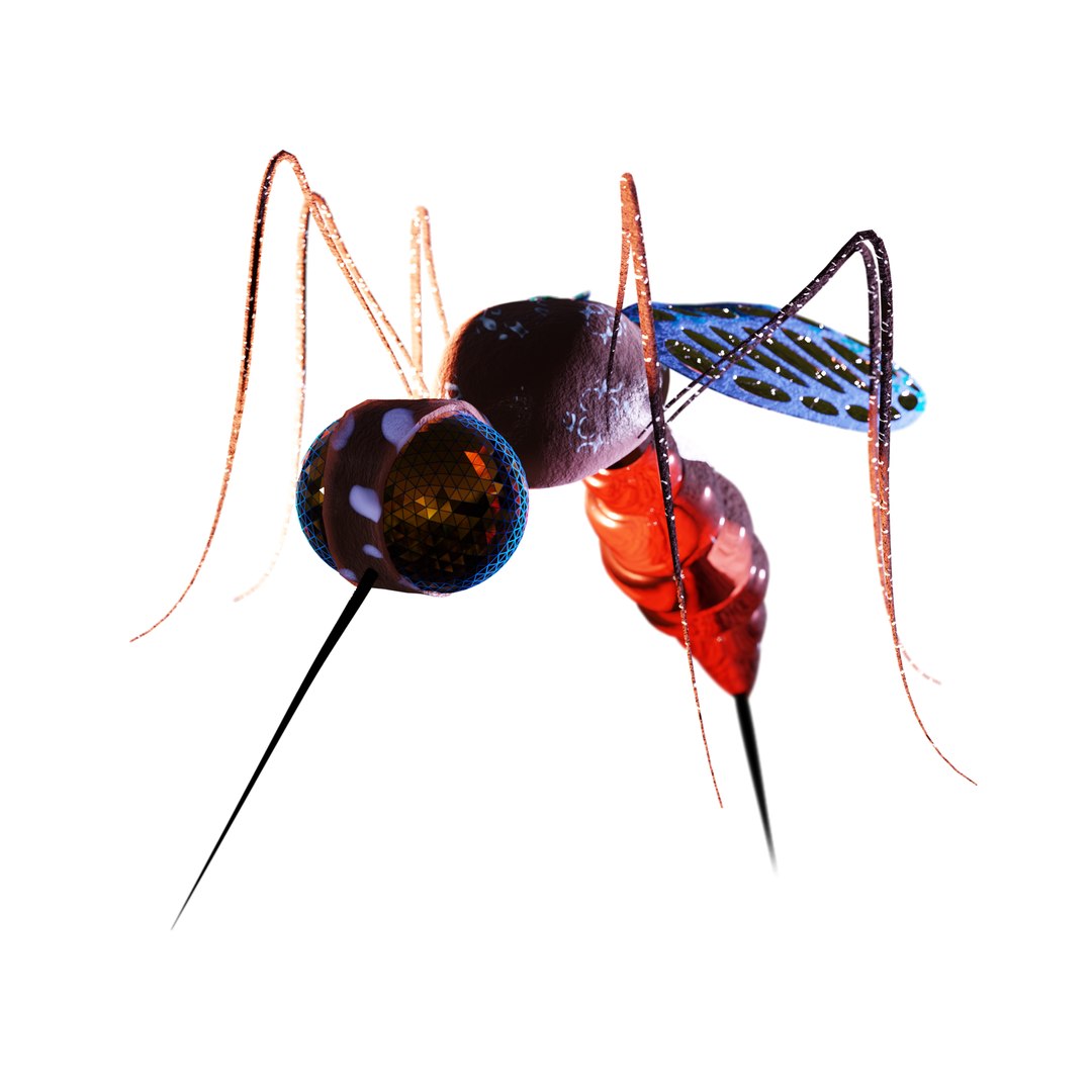 Cartoon Mosquito Model - TurboSquid 1972070