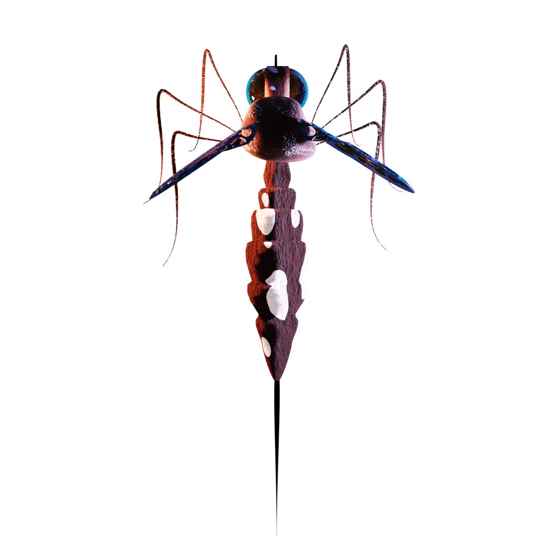 Cartoon Mosquito Model - TurboSquid 1972070