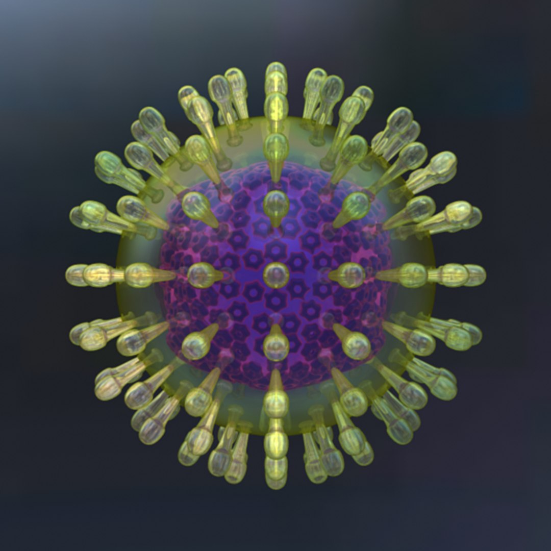 3d Model Of Herpes Virus
