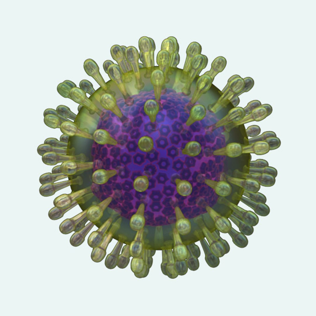 3d Model Of Herpes Virus