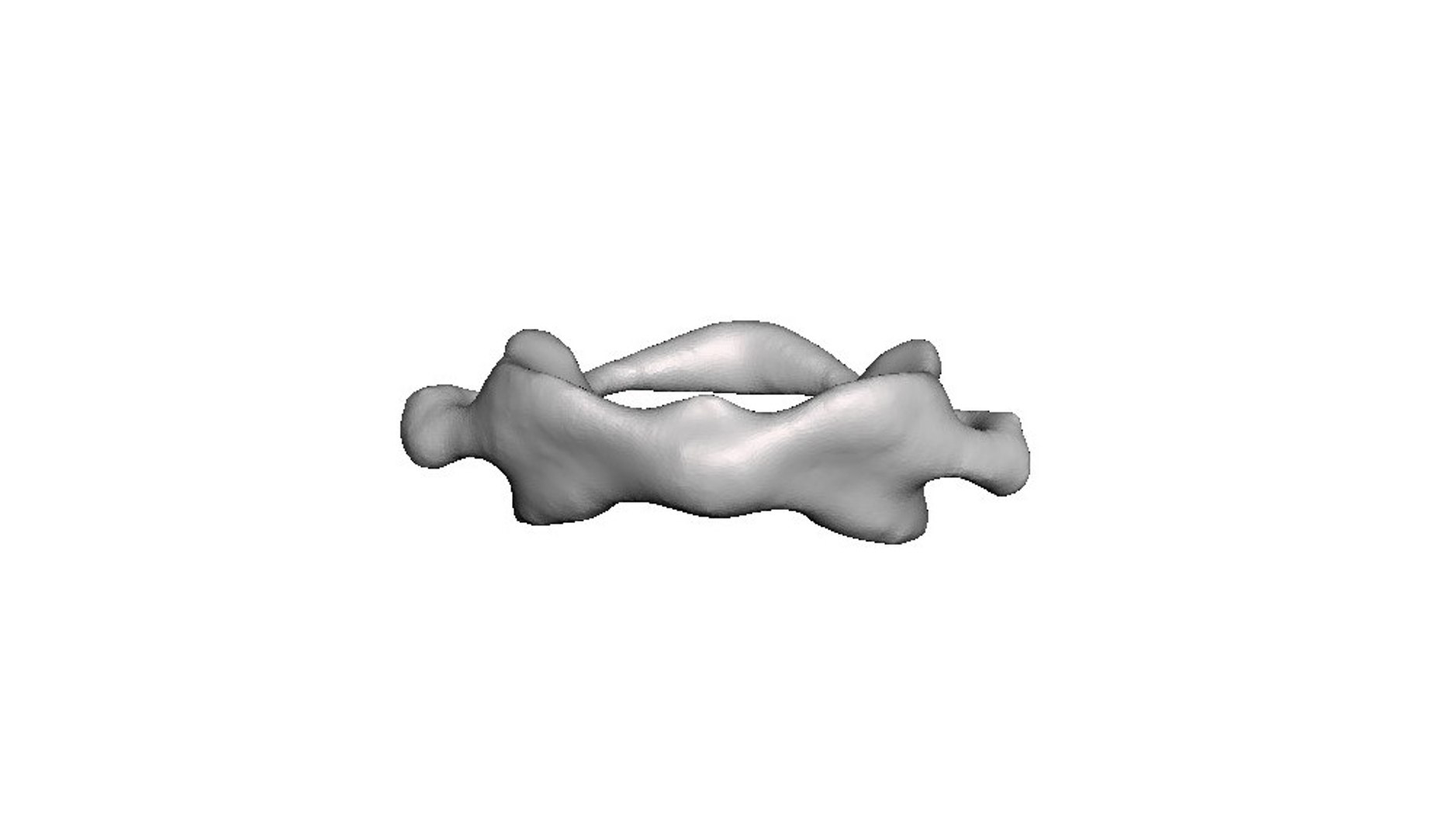 Neck Anatomy Model - TurboSquid 1617259