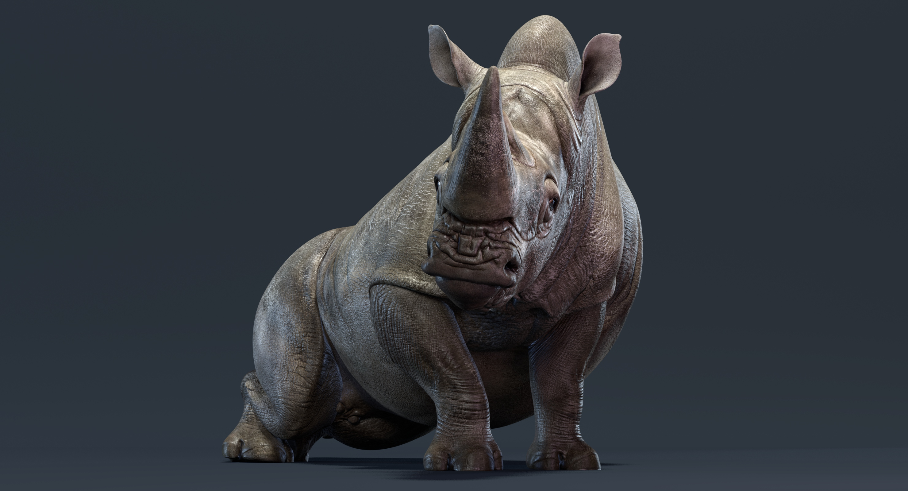 Big rhino animation 3D model - TurboSquid 1344943