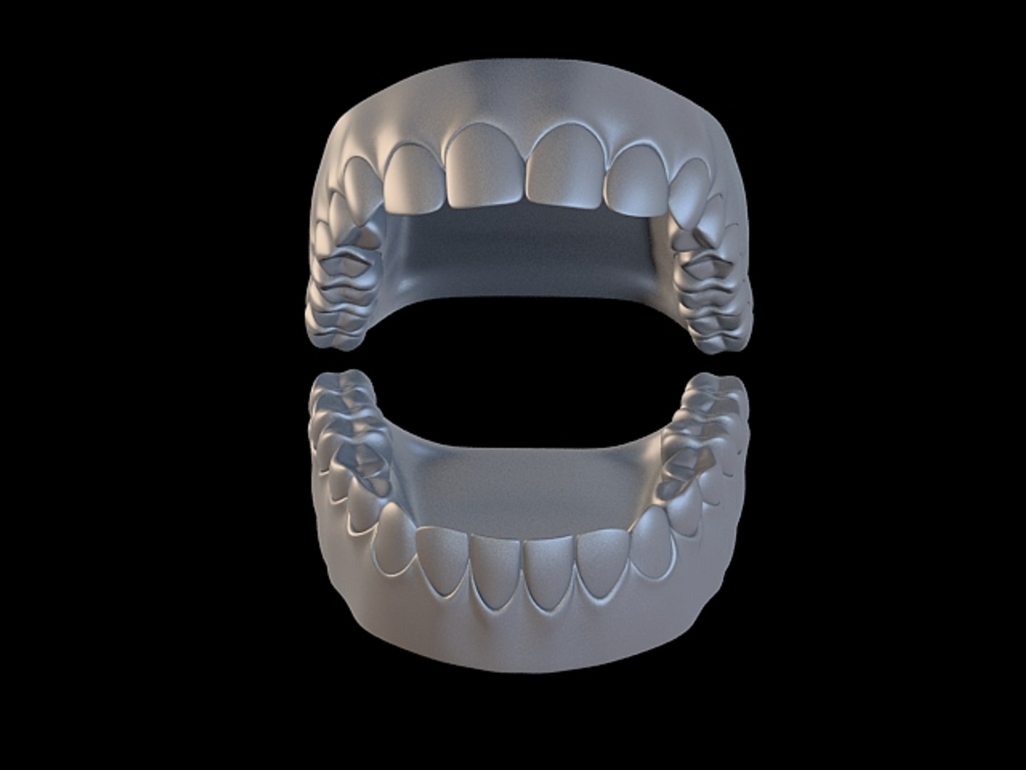 Human Teeth 3d Model