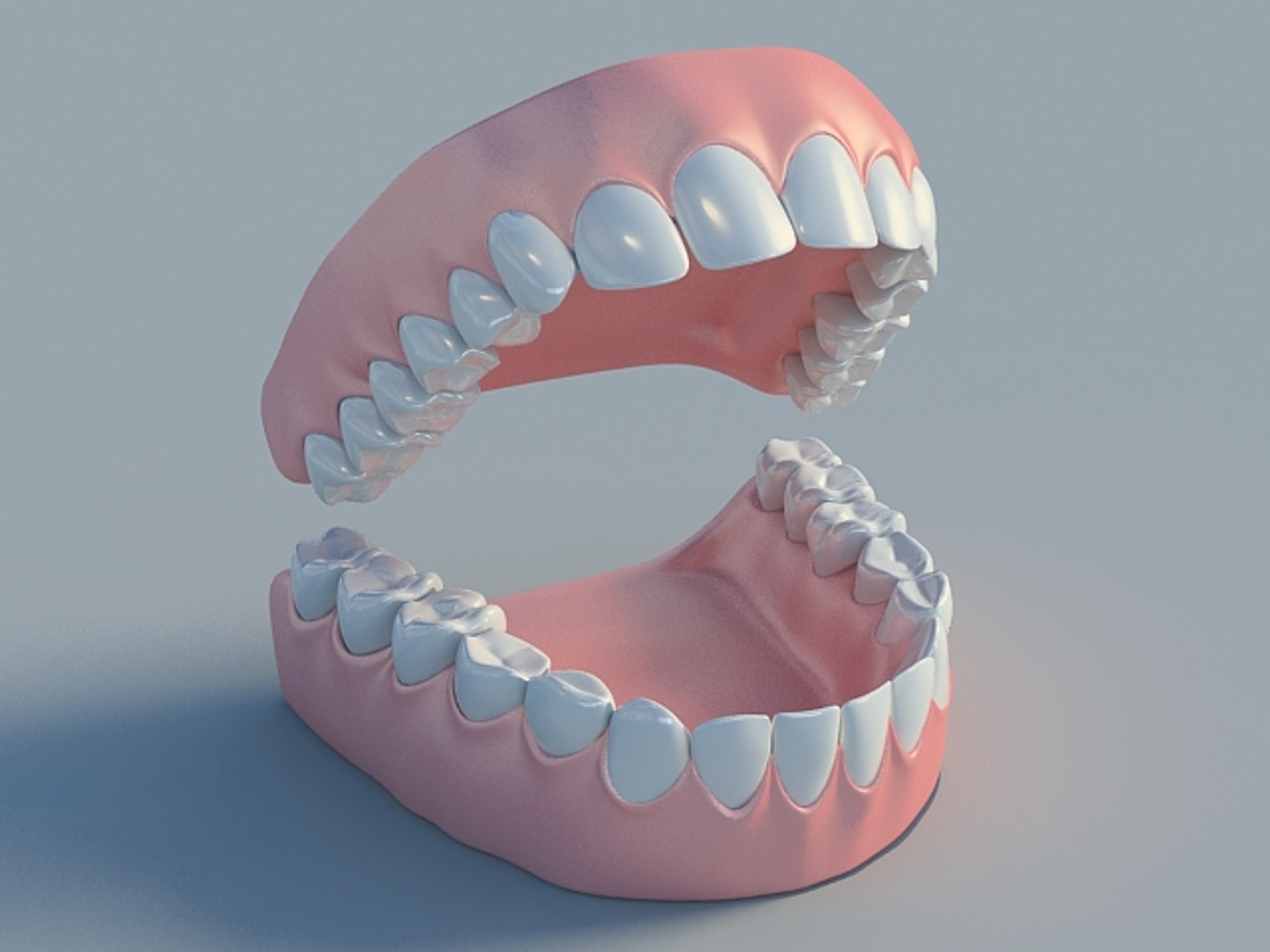 Human Teeth 3d Model