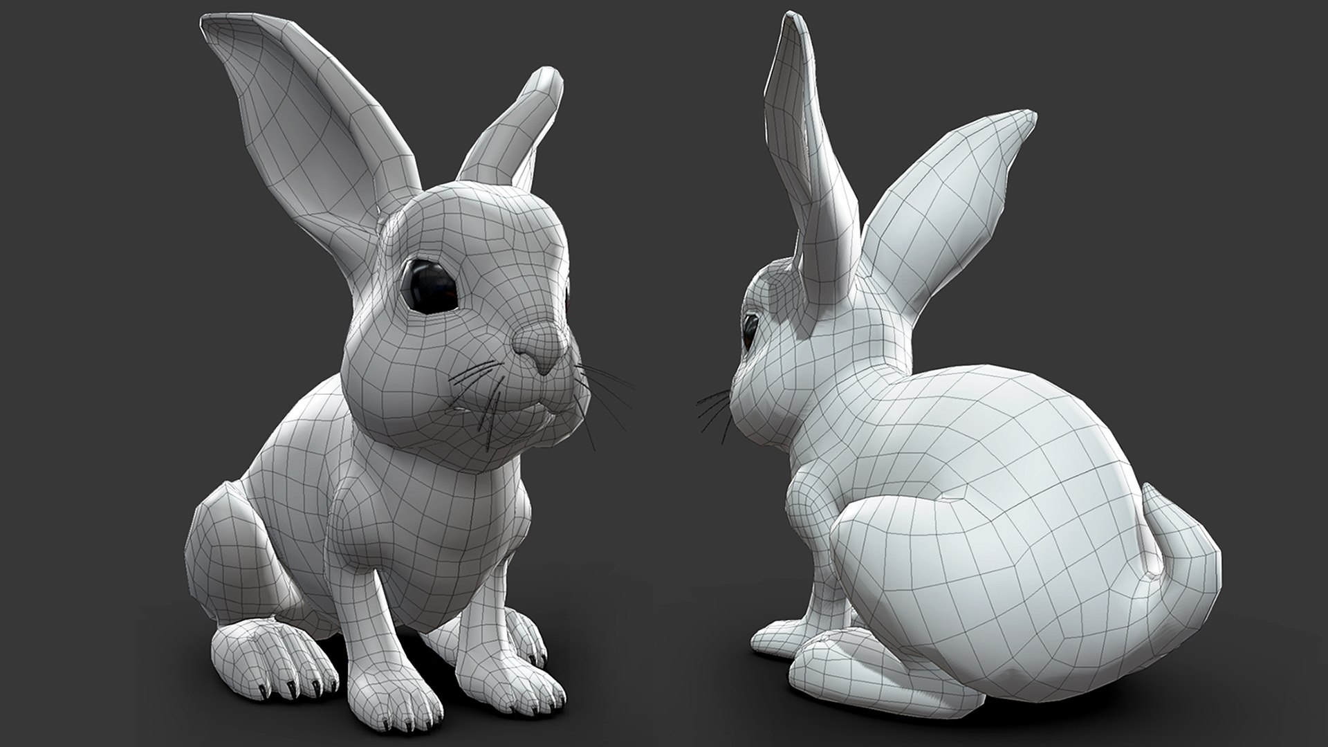 Baby Rabbit 3D Model - TurboSquid 2238265