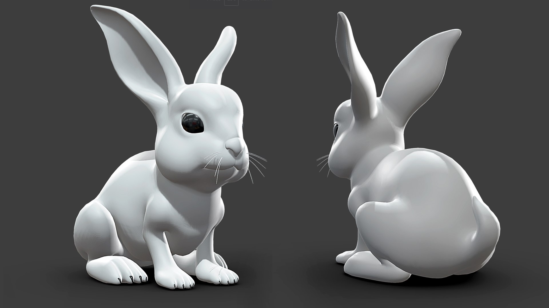 Baby Rabbit 3D Model - TurboSquid 2238265