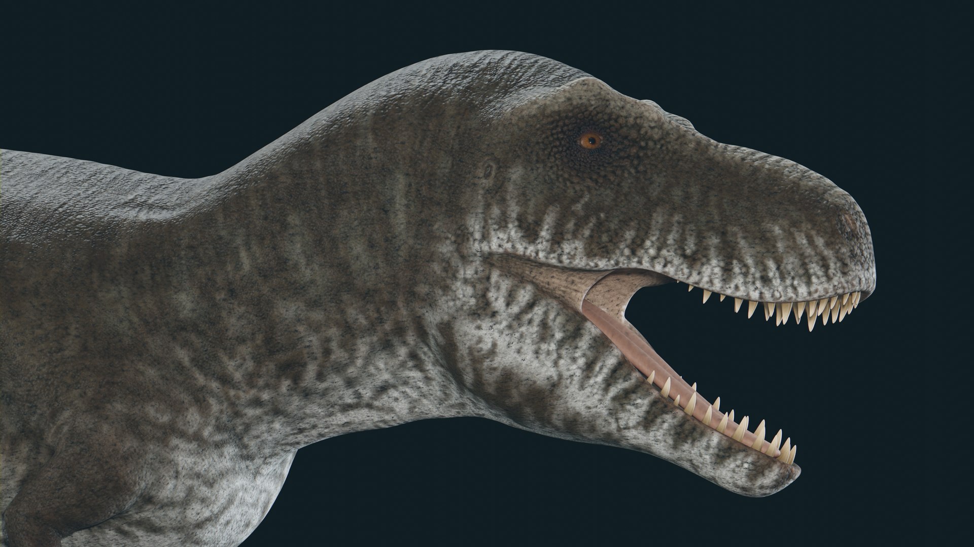 3D Tyrannosaurus Model - TurboSquid 2170030