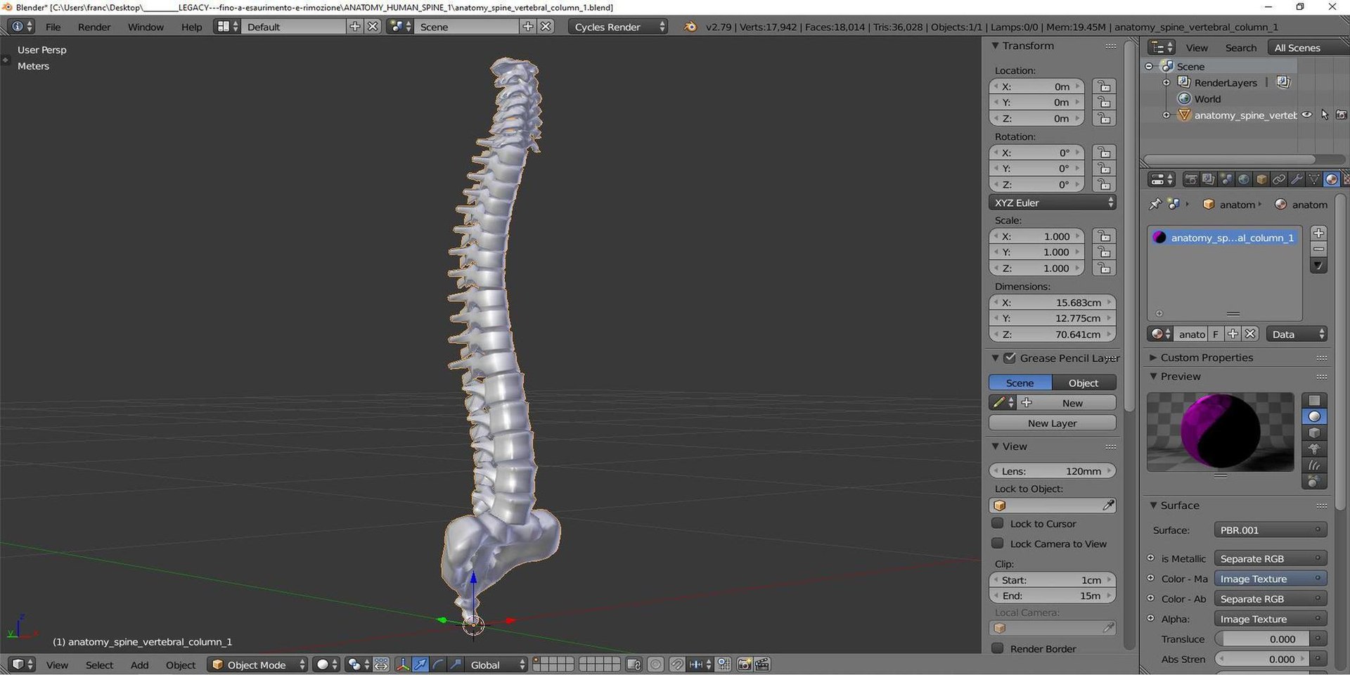 Human Spine 1 3d Model