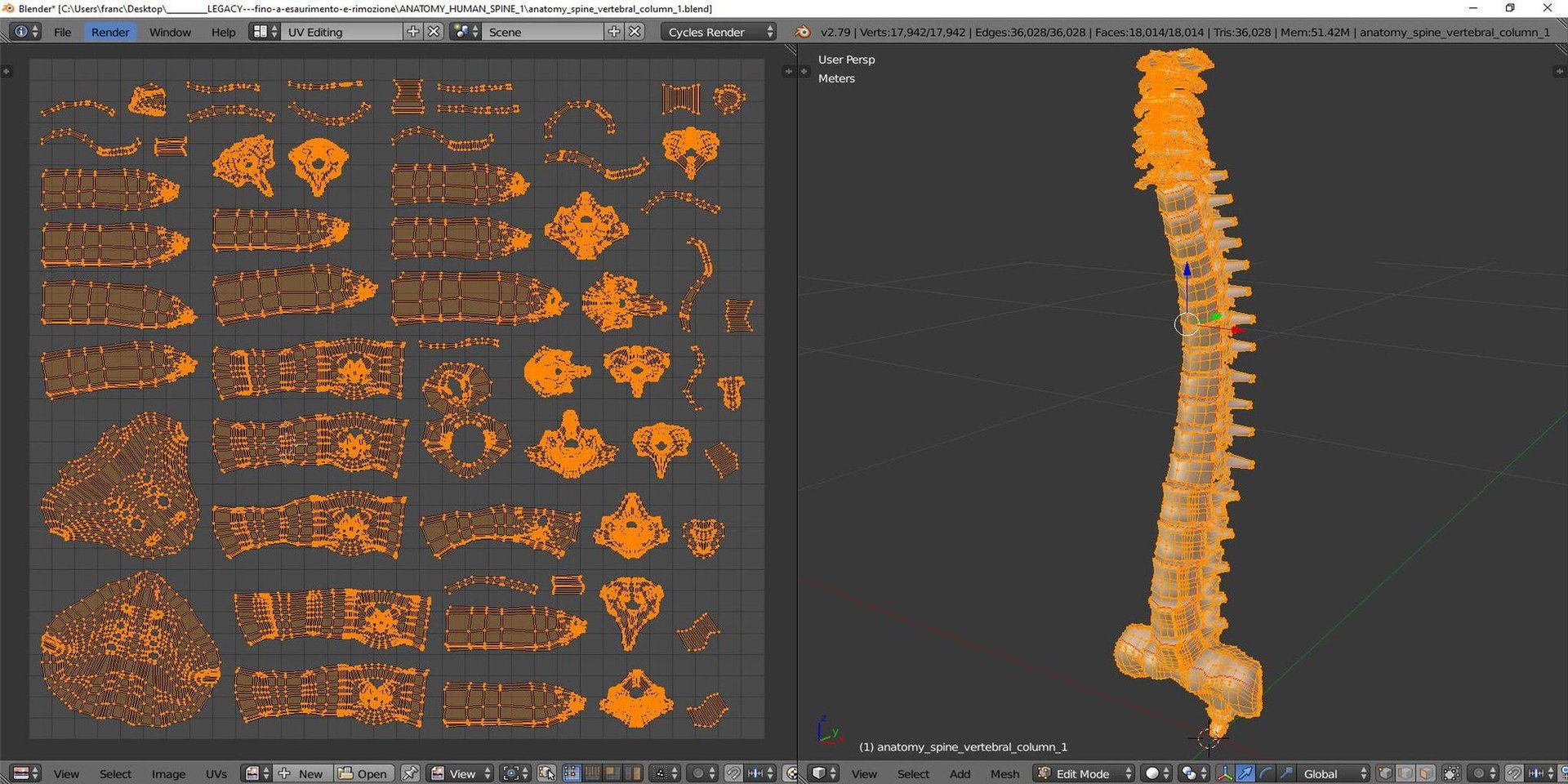 Human Spine 1 3d Model