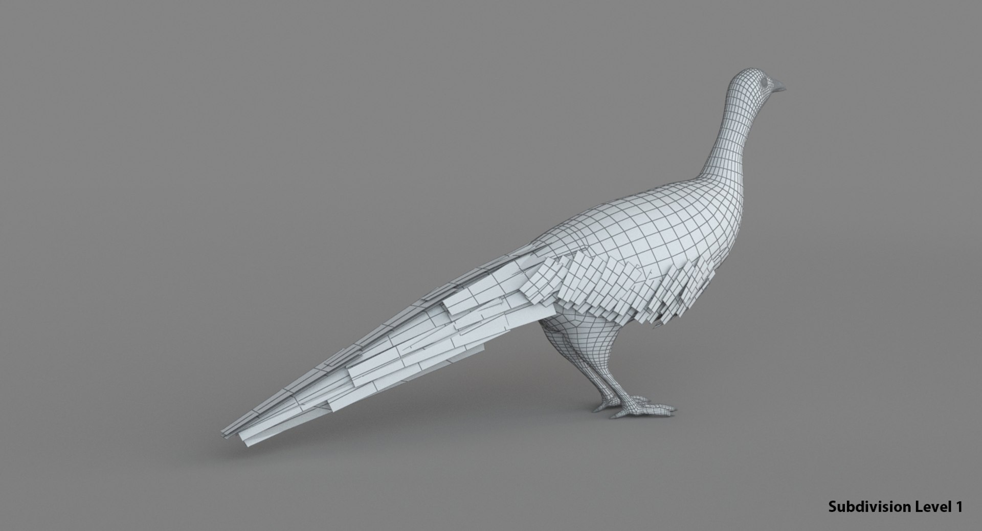 Pheasant 3D - TurboSquid 1325130