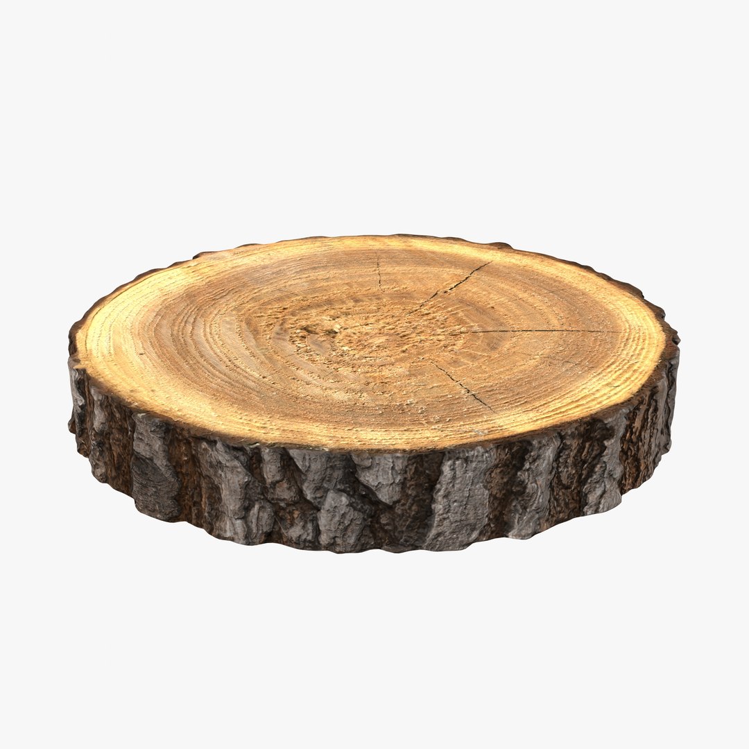 3D Wood Log Slice - TurboSquid 1237789