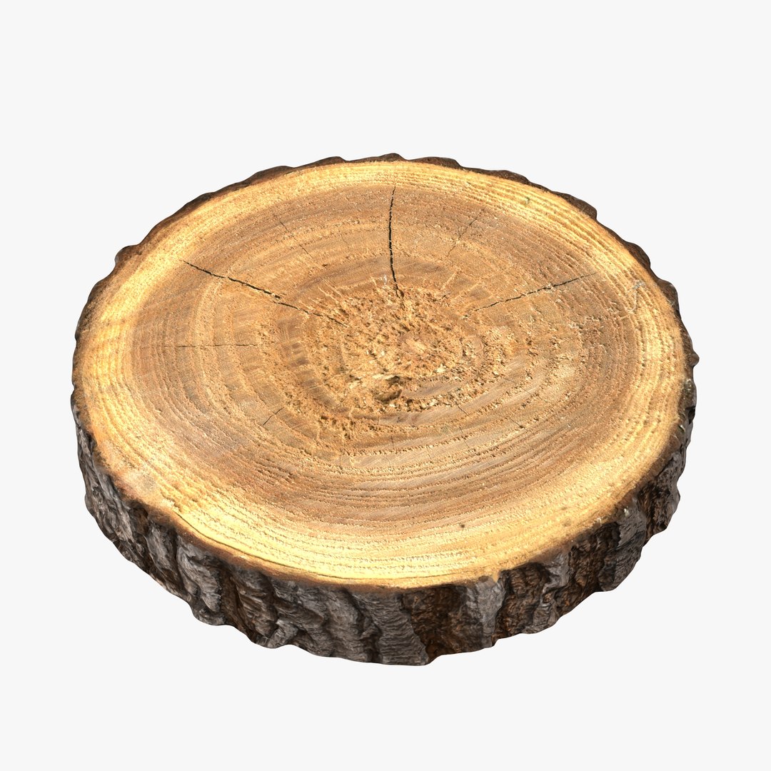 3D Wood Log Slice - TurboSquid 1237789