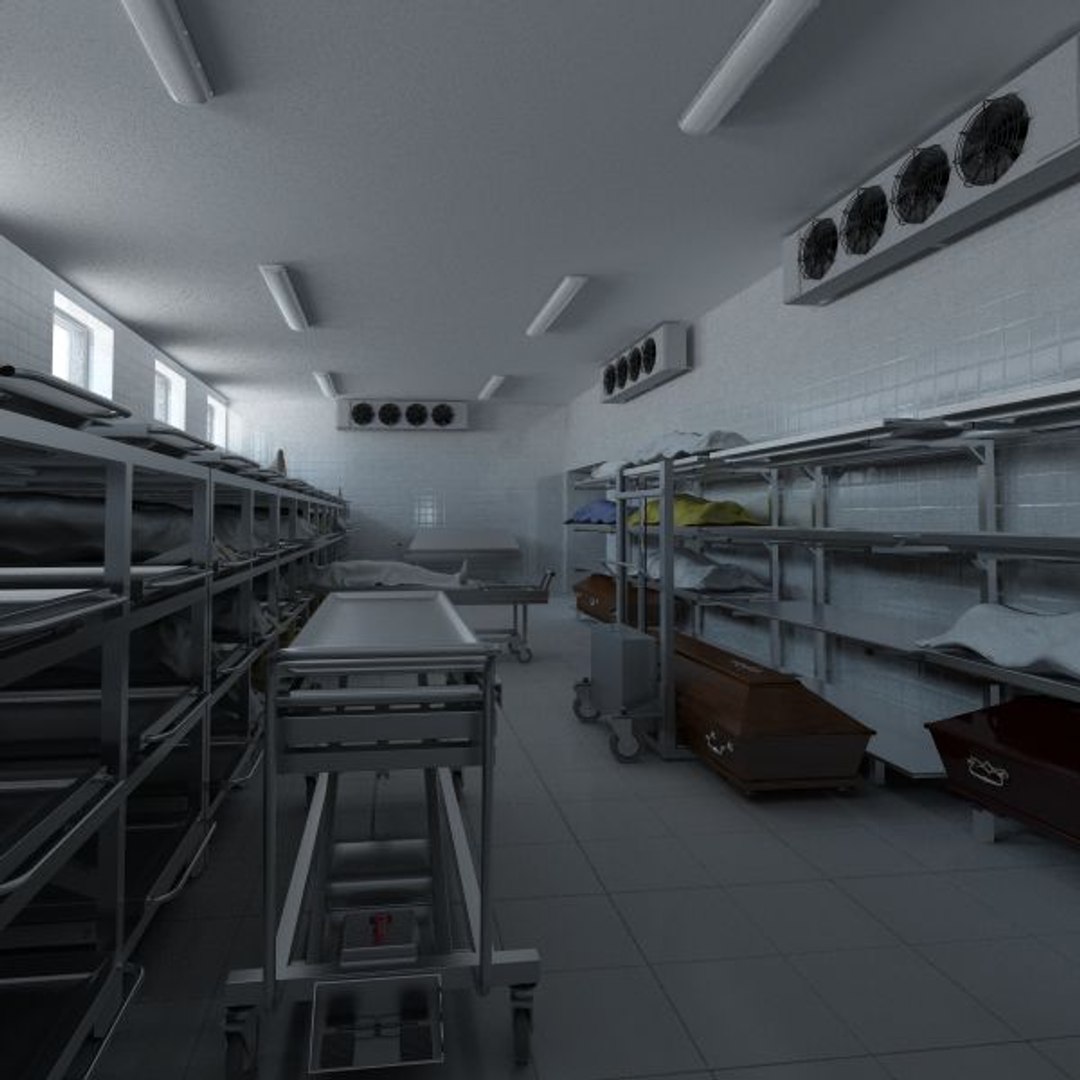 3d Model Of Hd Morgue