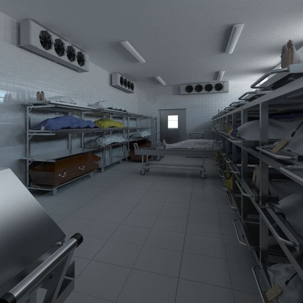 3d model of hd morgue