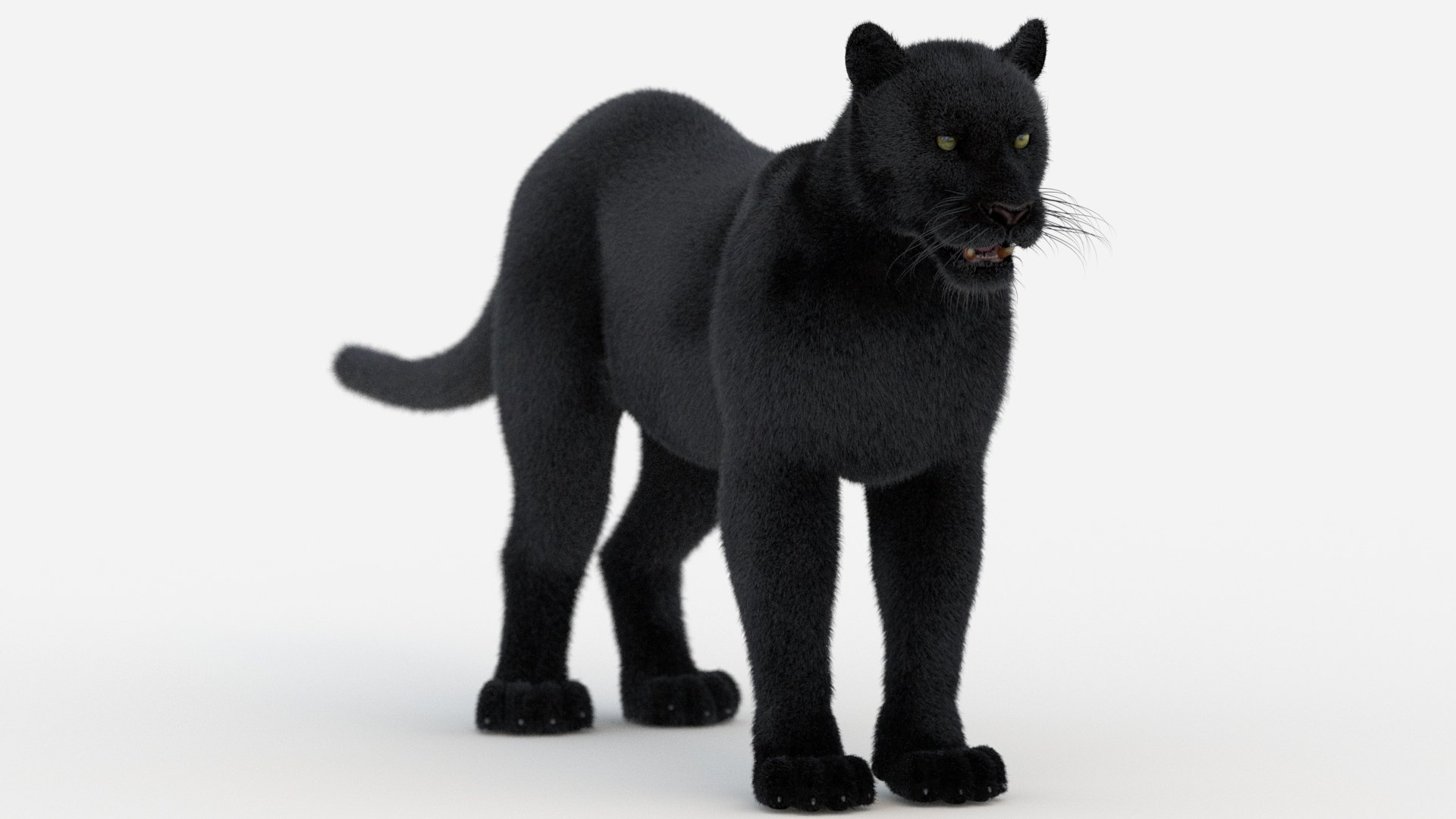 panther fur 3d model