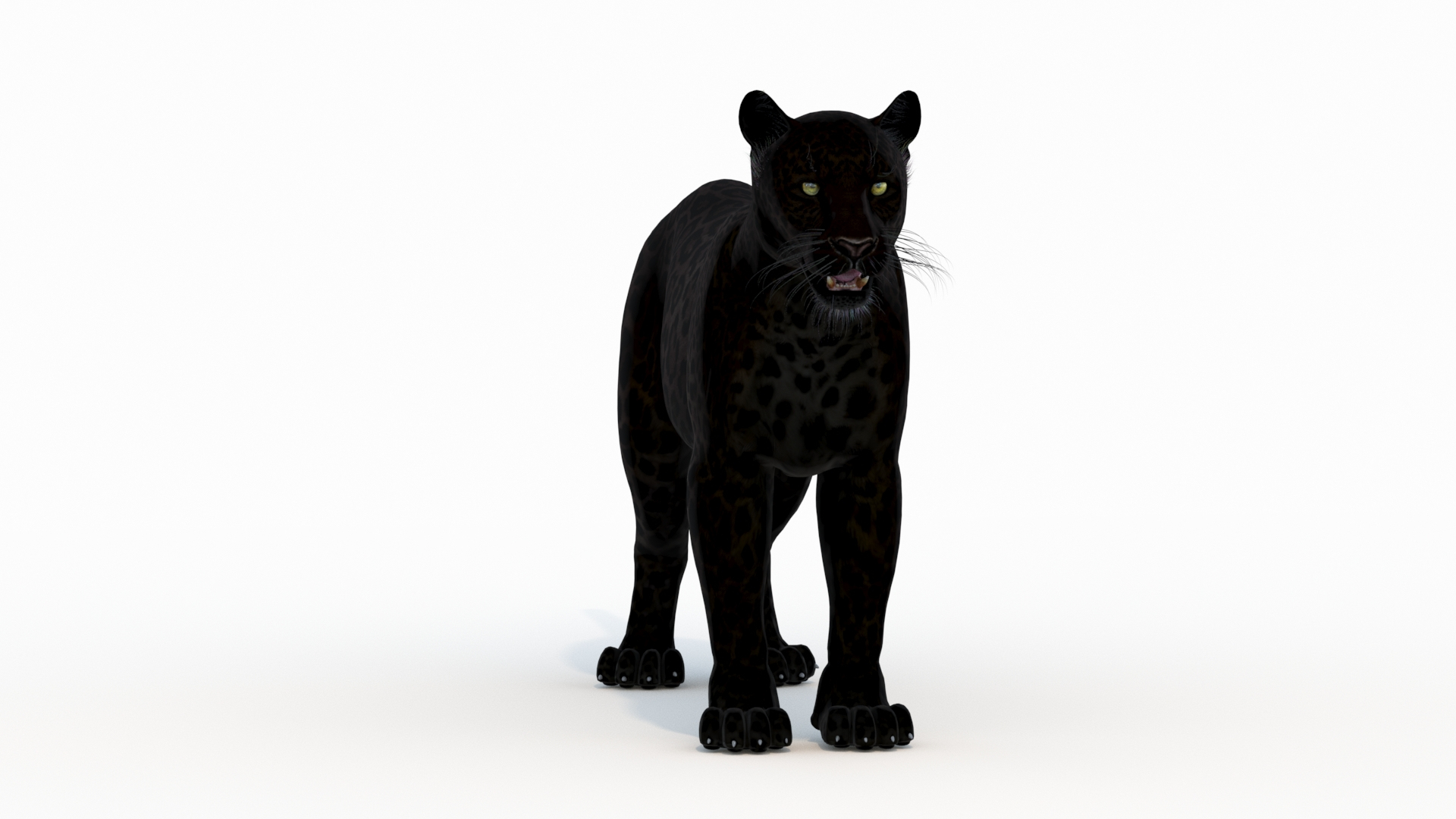 Panther Fur 3d Model