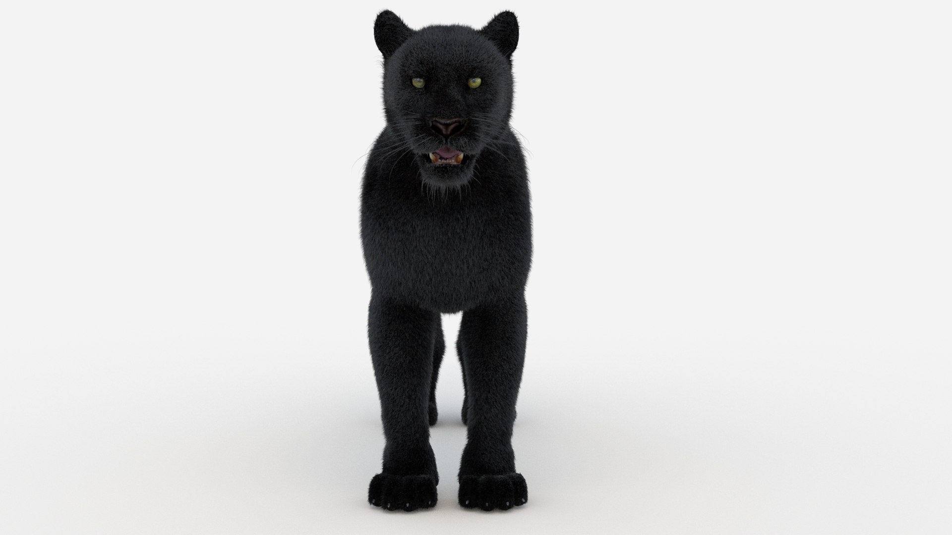 Panther Fur 3d Model