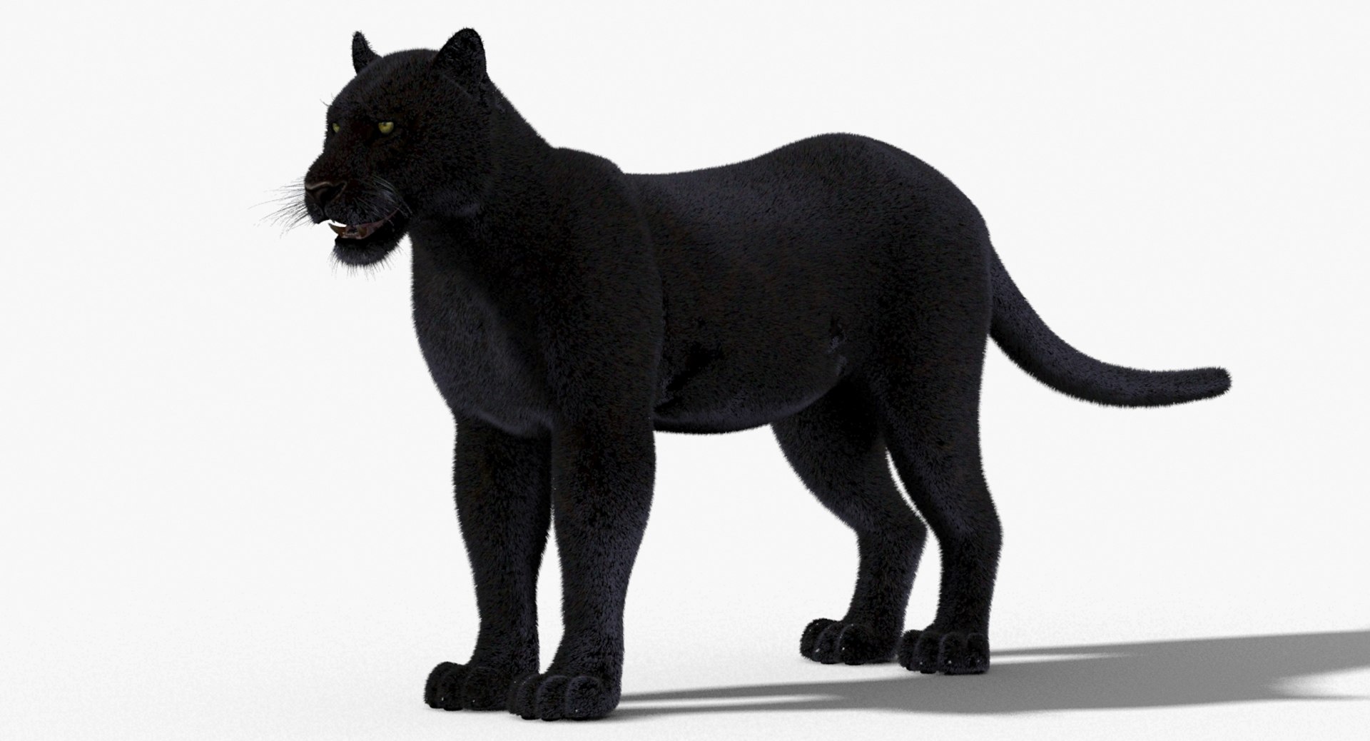 Panther Fur 3d Model