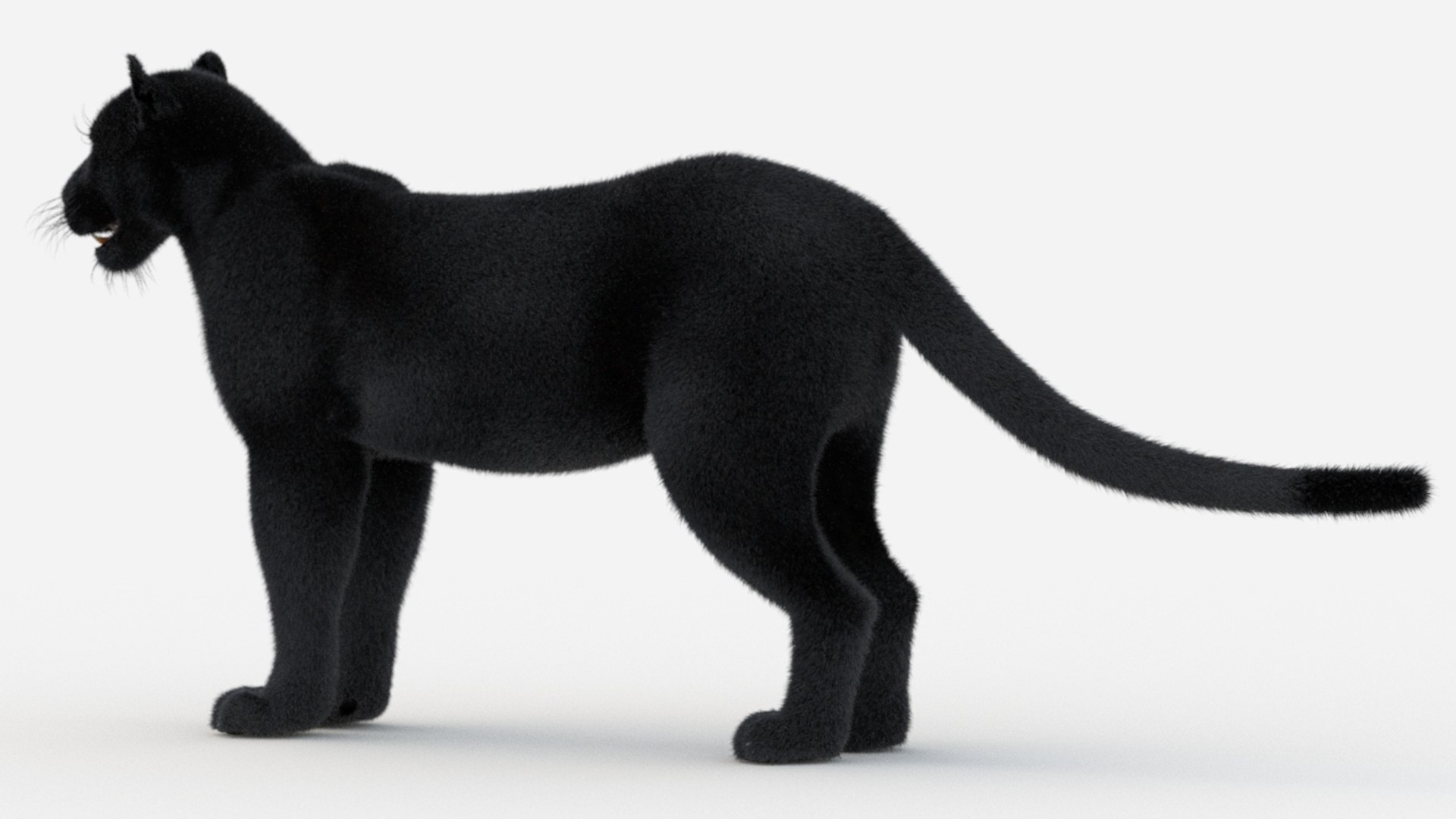 Panther Fur 3d Model
