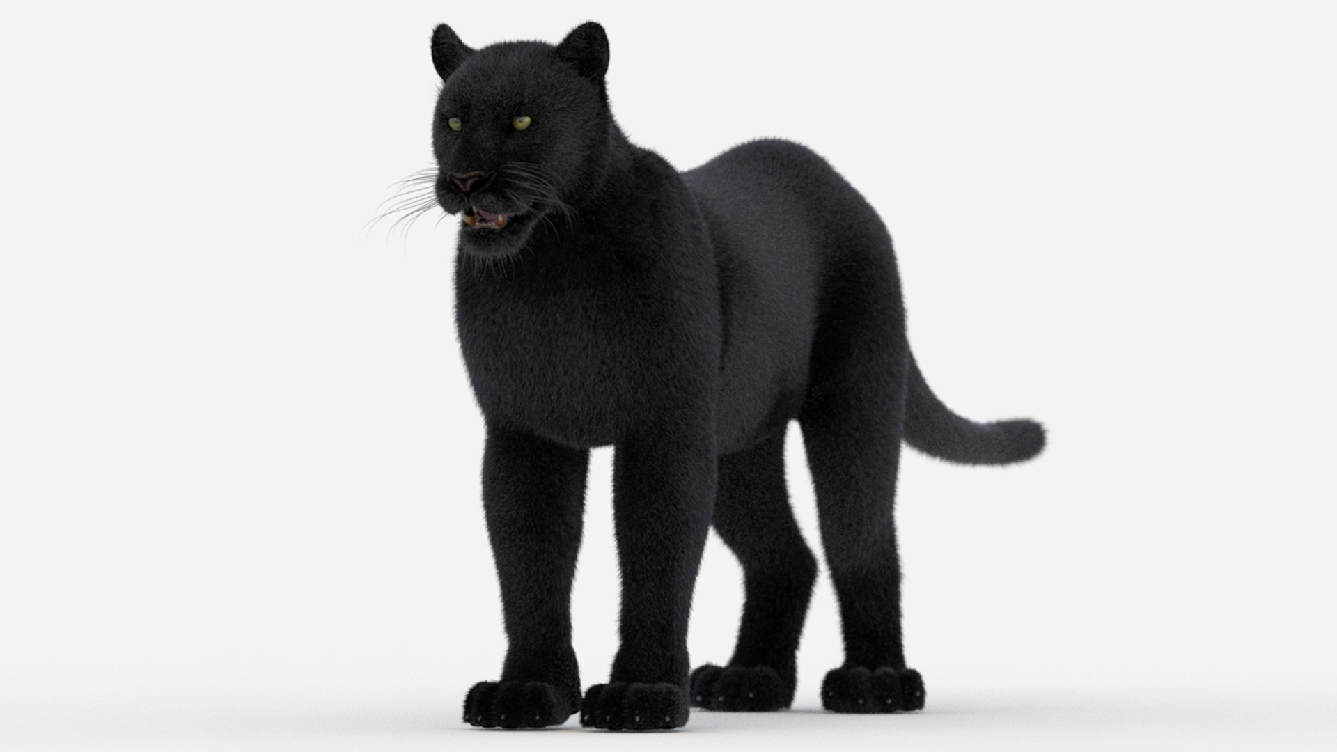 Panther Fur 3d Model