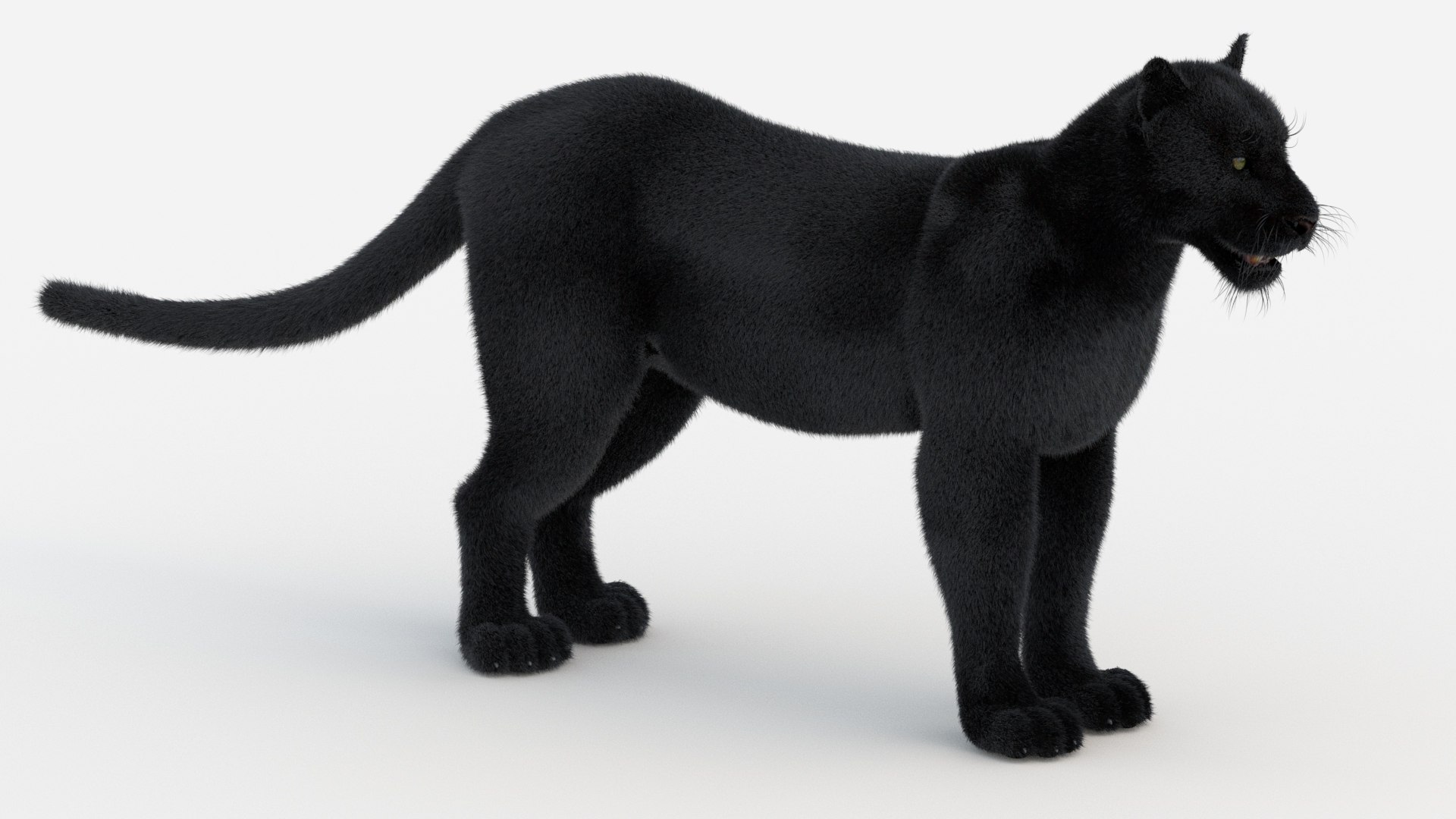 Panther Fur 3d Model