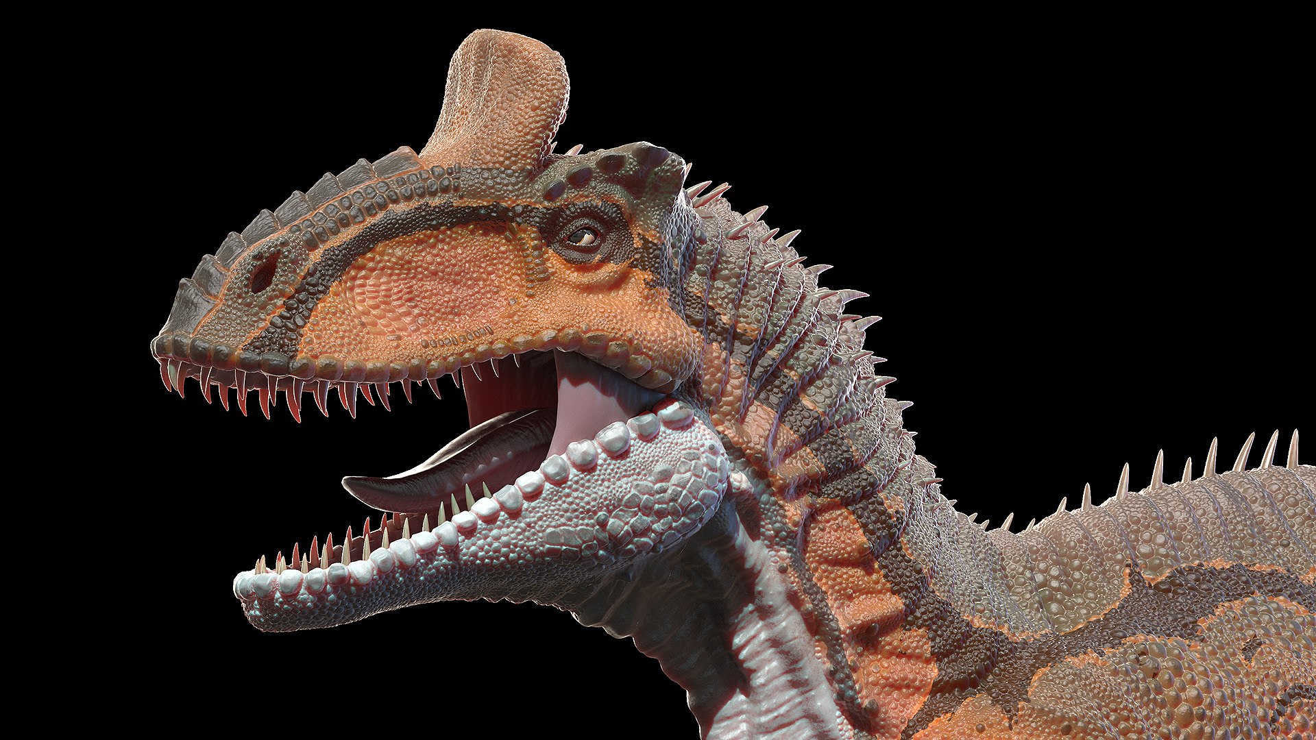 Cryolophosaurus Cryolophosauro 3D Model - TurboSquid 1647046