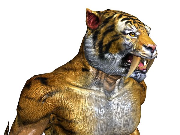 tigers saber tooth 3d model