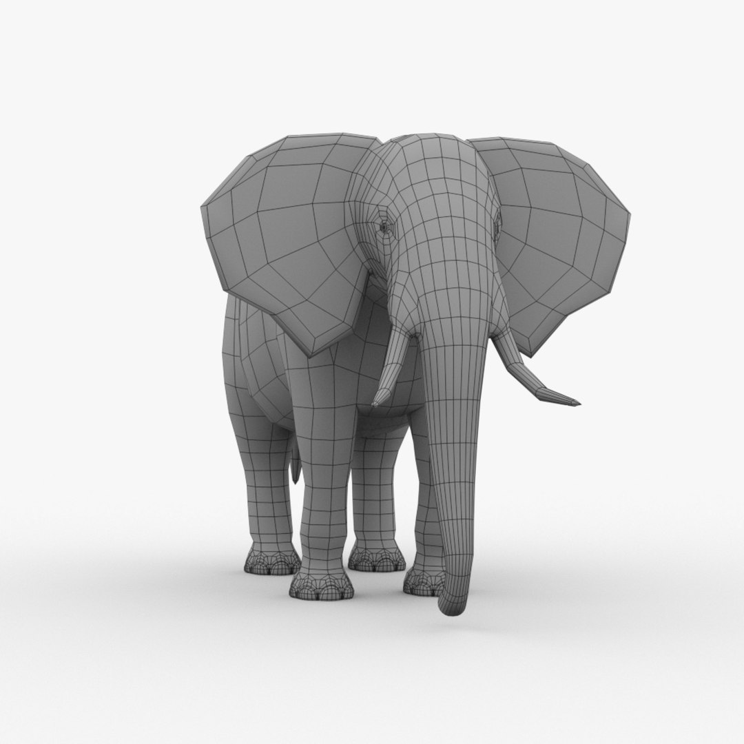 3D elephant basemesh - TurboSquid 2006909