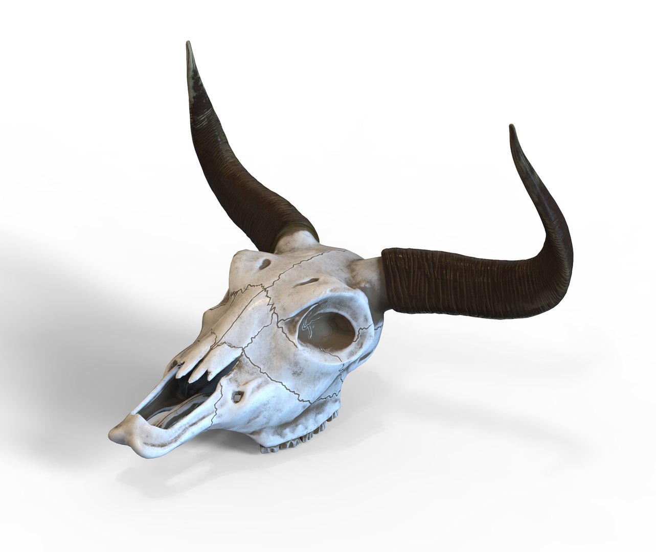 Skull Horns Bull 3D Model - TurboSquid 1543870