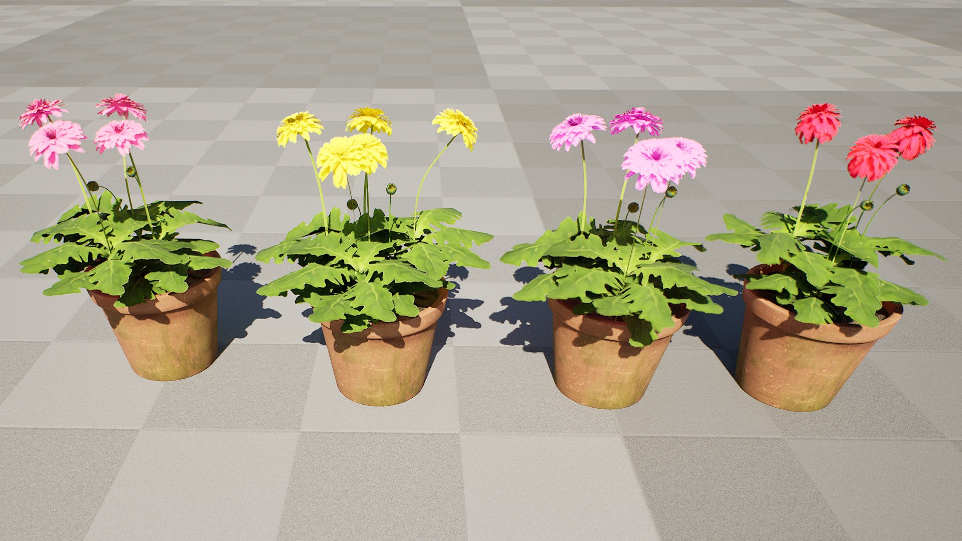 HilverdaFlorist Gerbera Collection 3D Model - TurboSquid 2395245