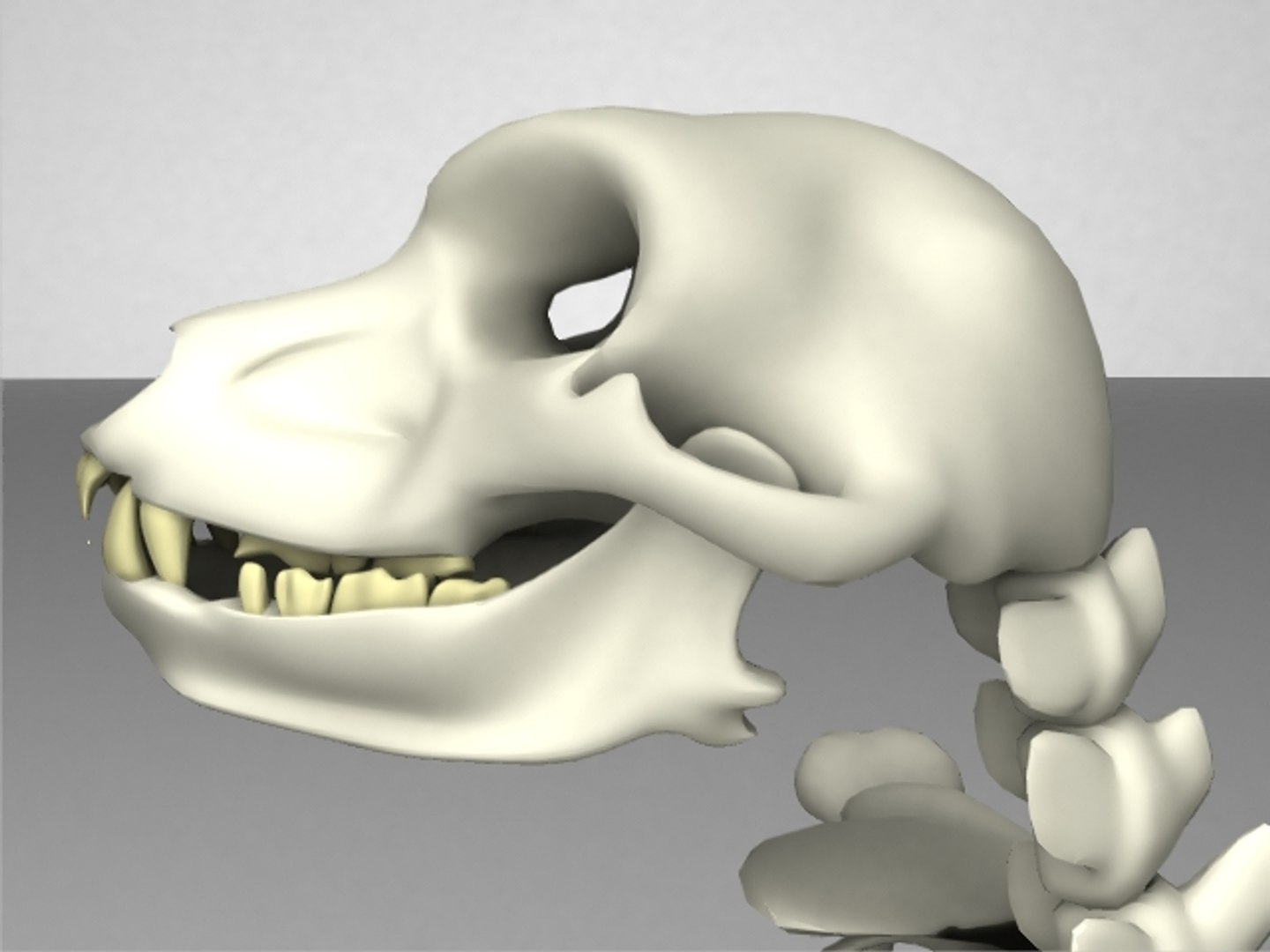 3d Skeleton Beast