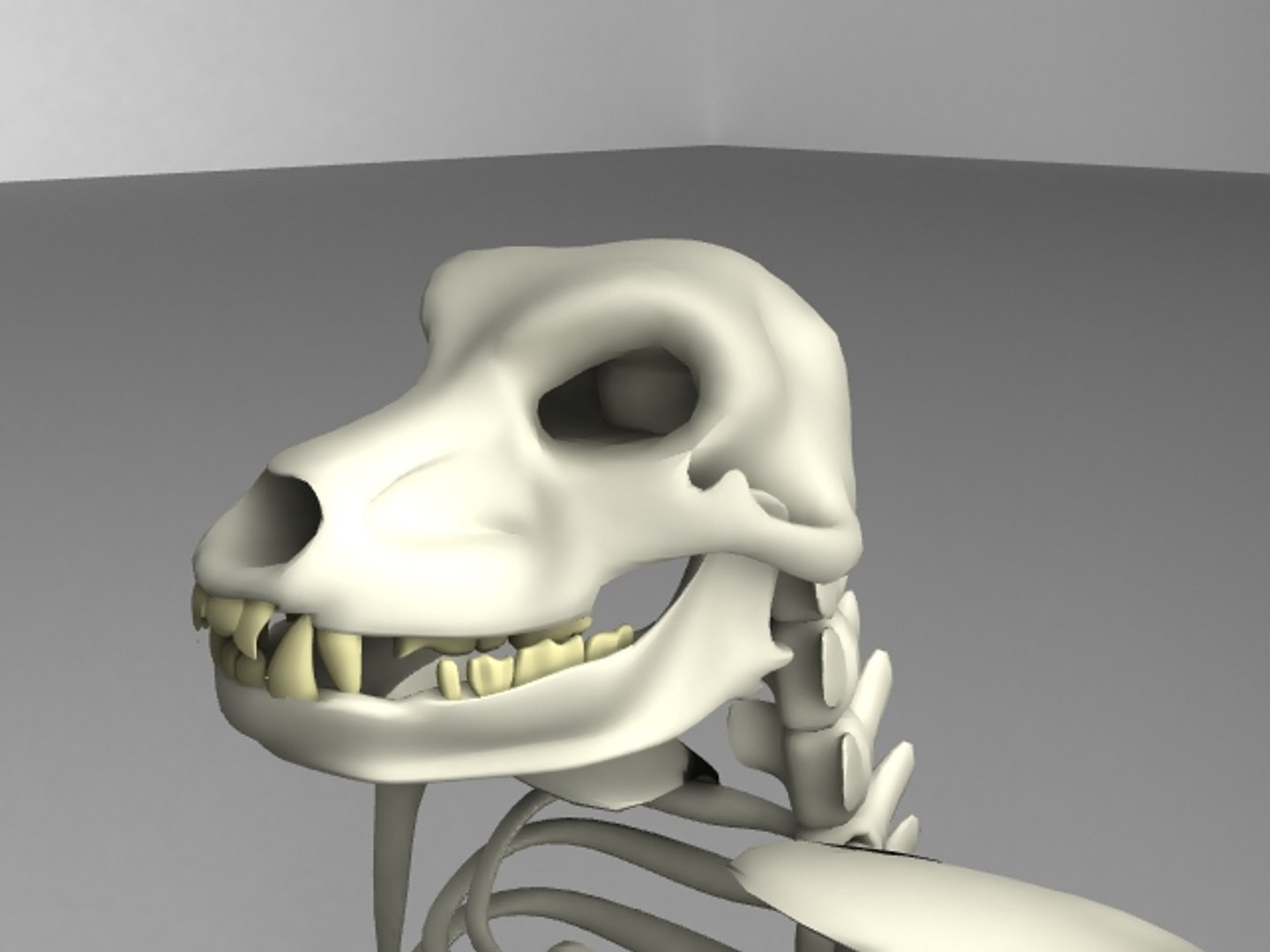 3d Skeleton Beast
