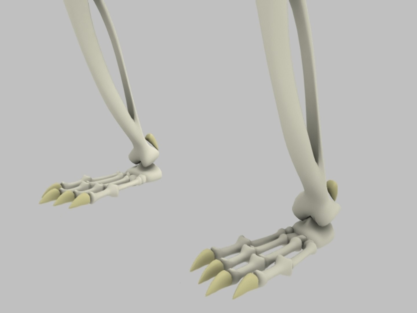 3d Skeleton Beast