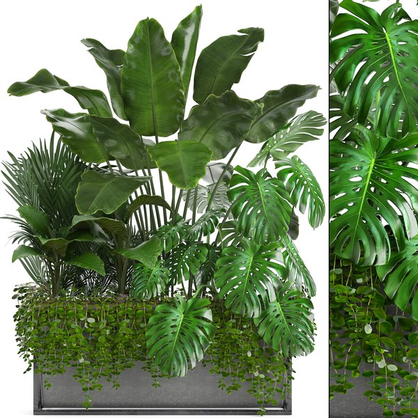3d plants