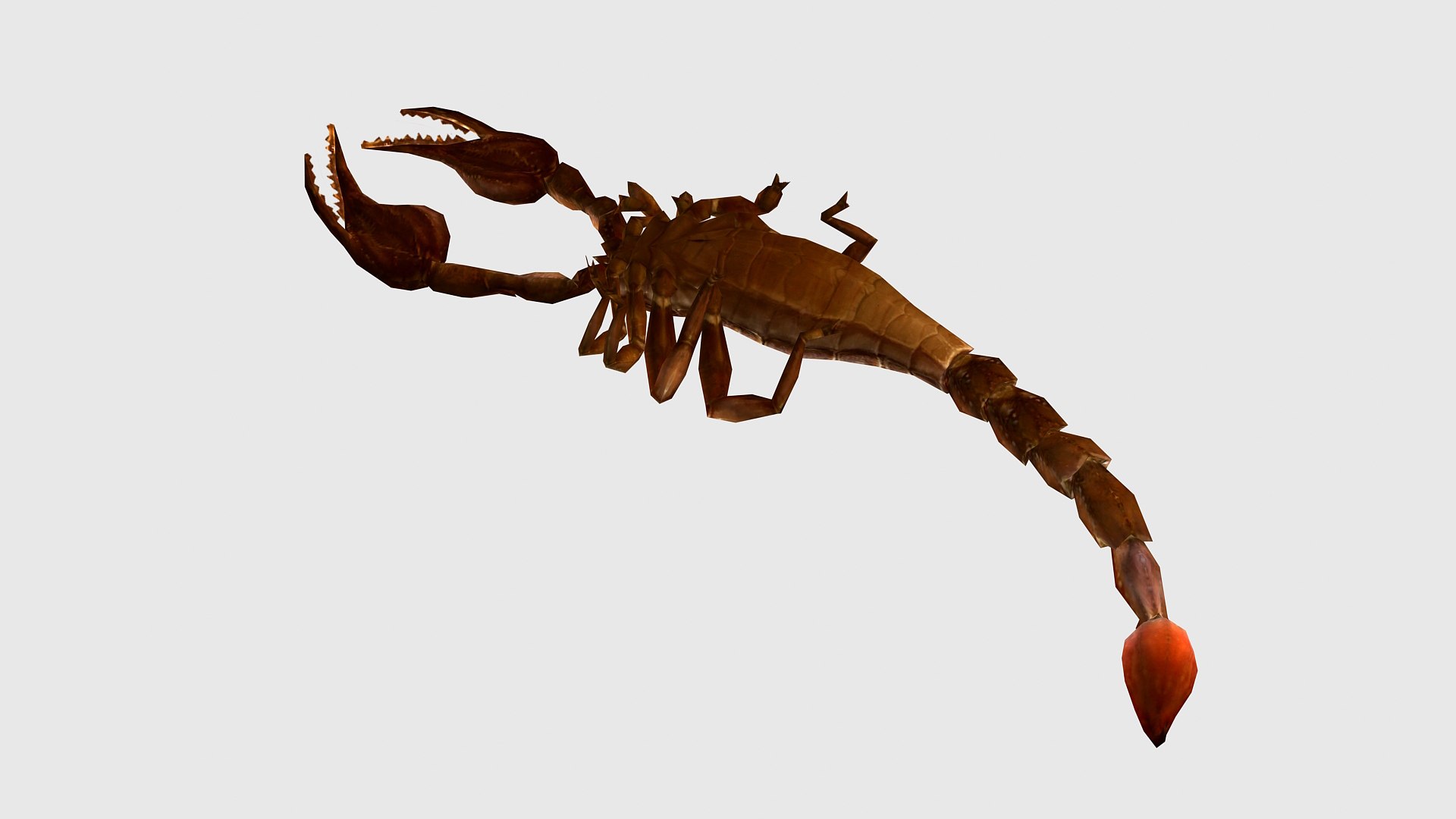 Animated Scorpion Model - TurboSquid 2152951