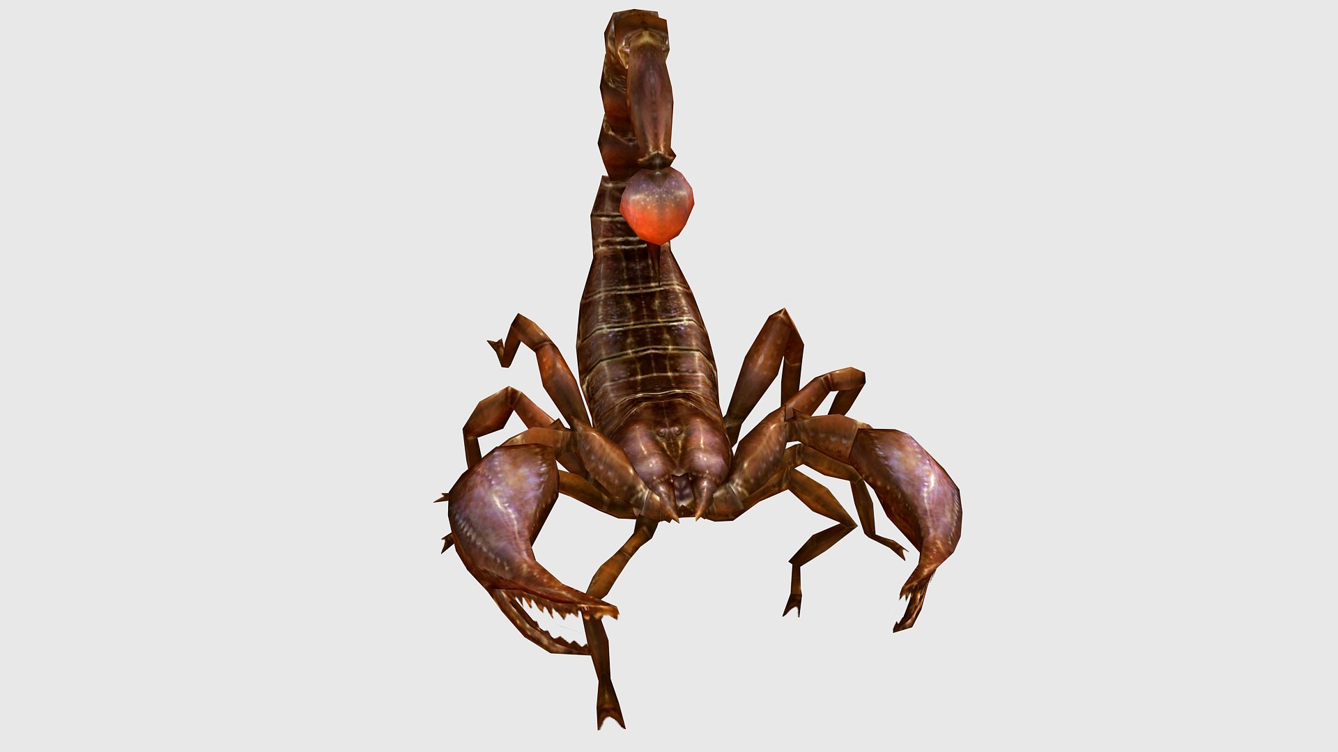 Animated Scorpion Model - TurboSquid 2152951