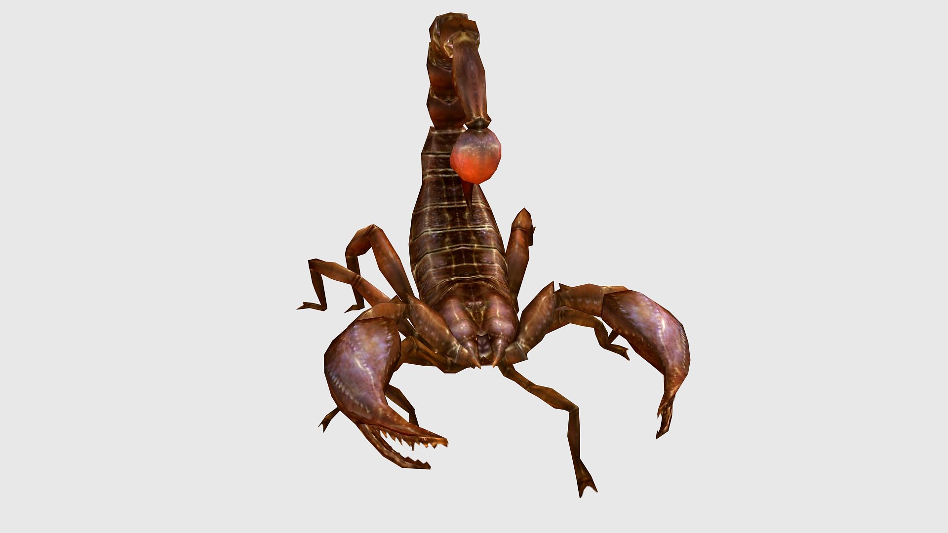 Animated Scorpion Model - TurboSquid 2152951
