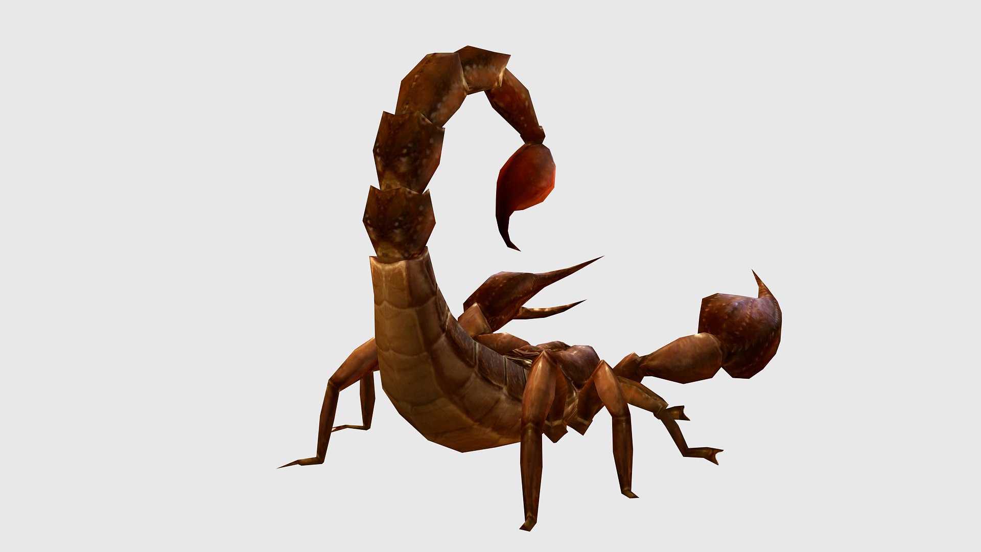 Animated Scorpion Model - TurboSquid 2152951