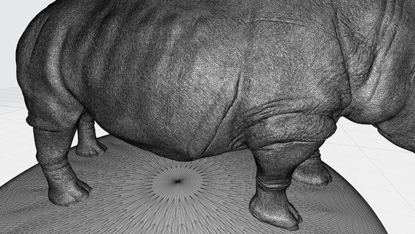 Africa Rhino 3d Model Turbosquid 1681458 