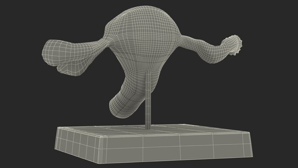 modelo 3d Diseño Anatomía Útero Femenino - TurboSquid 2097722